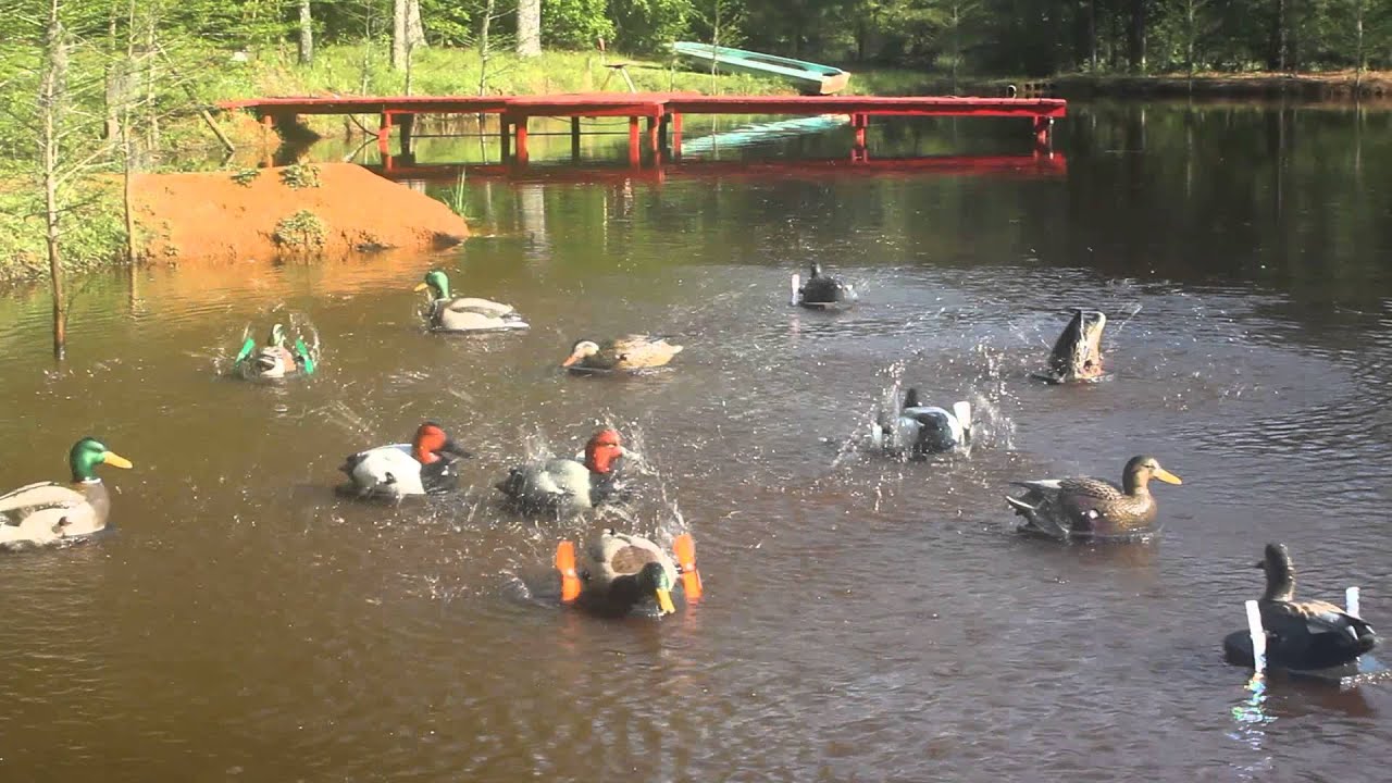 WONDERDUCK DECOYS - YouTube