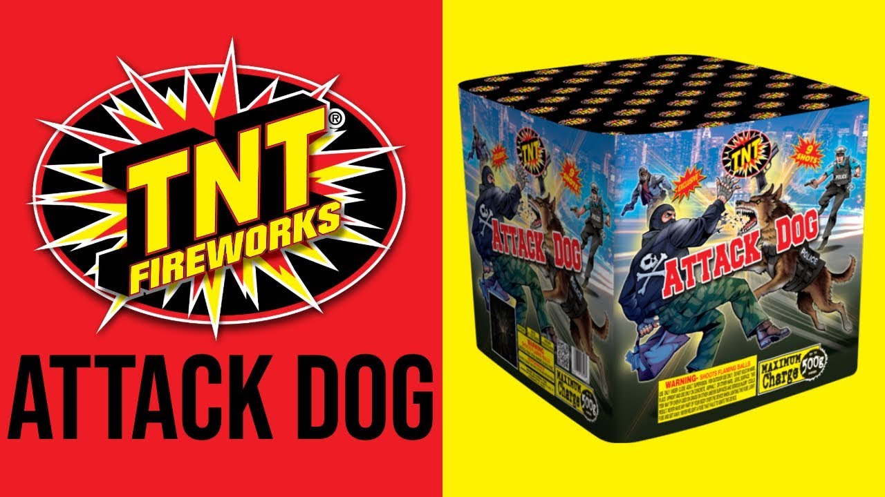 Attack Dog - TNT Fireworks® Official Video - YouTube