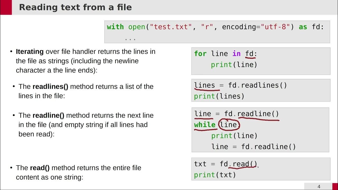 SciPro Python 2024: 10 - File I/O - YouTube
