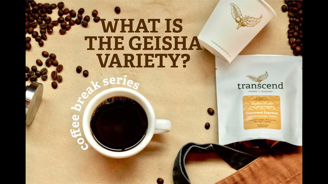 Coffee Break ep. 25: What is the Geisha Variety? - YouTube