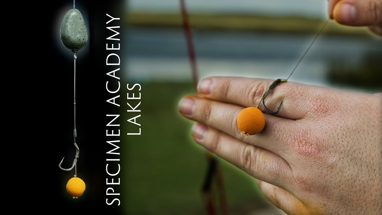 CARP FISHING Specimen Academy Lakes - YouTube