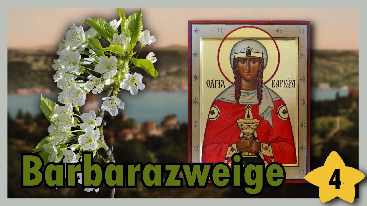 Barbarazweige: Was die Heilige Barbara mit Zweigen zu tun hat | 4 ...