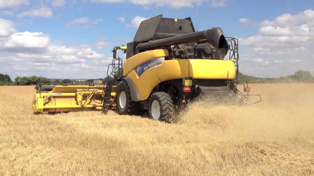 Harvesting Spelt for Sharpham Park - YouTube