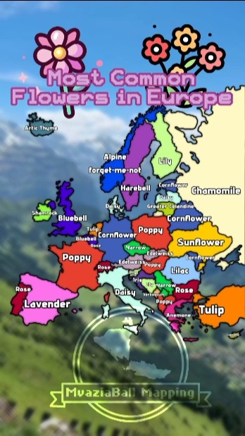 Common flowers in European Countries| #mapper #mapping #education #map ...