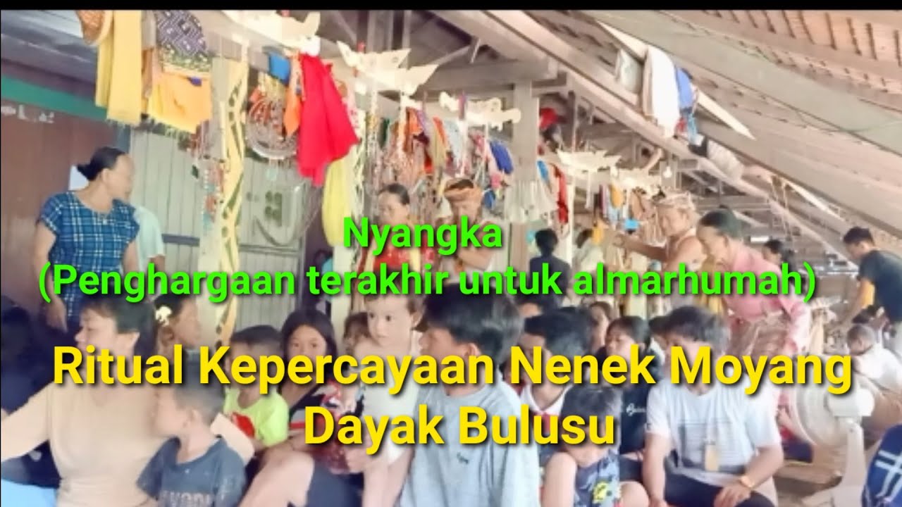 Nyangka (Ritual Kepercayaan Nenek Moyang Dayak Bulusu) - YouTube