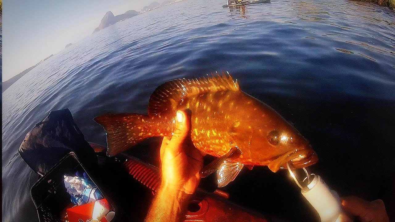 Badejo no Camarão Articial Flex - Pesca com Caiaque - Kayak Fishing ...