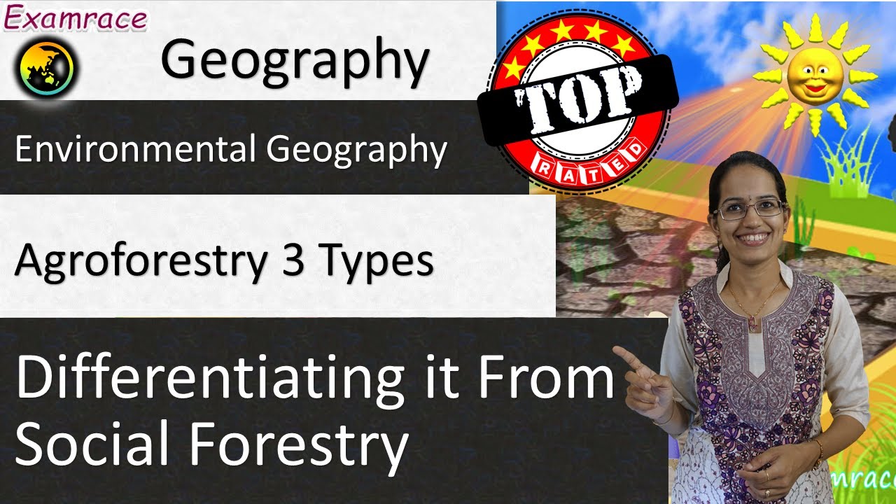 3 Types of Agroforestry: Differentiating it from Social Forestry - YouTube