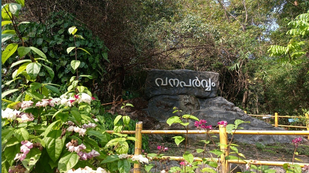 Vanaparvam Kozhikode - YouTube