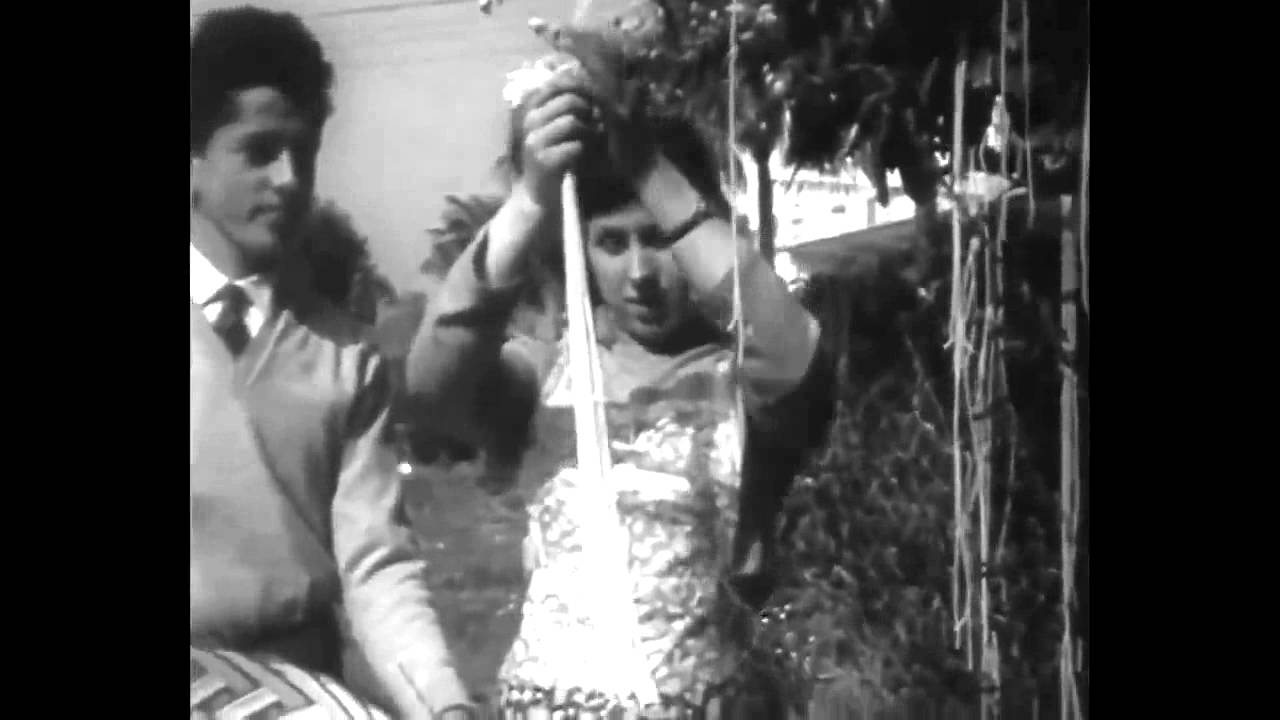 BBC Spaghetti tree harvest and Programming the population - YouTube