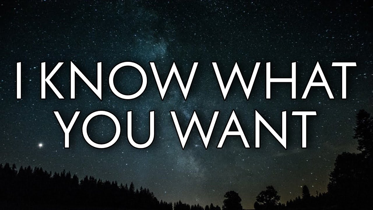 Busta Rhymes, Mariah Carey - I Know What You Want (Lyrics) Ft. Flipmode ...