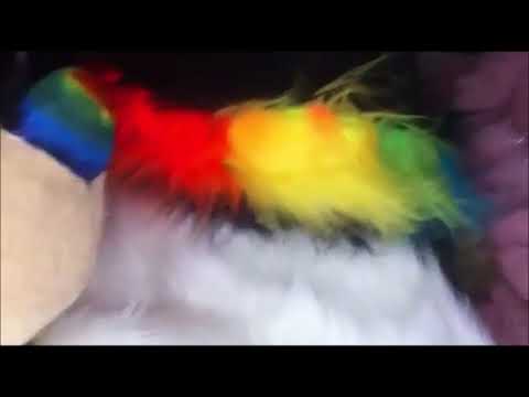 Rainbow LED fursuit! - YouTube