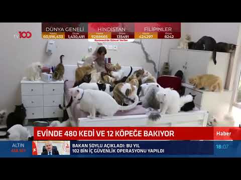 Evinde 480 kedi ve 12 köpeğe bakıyor!