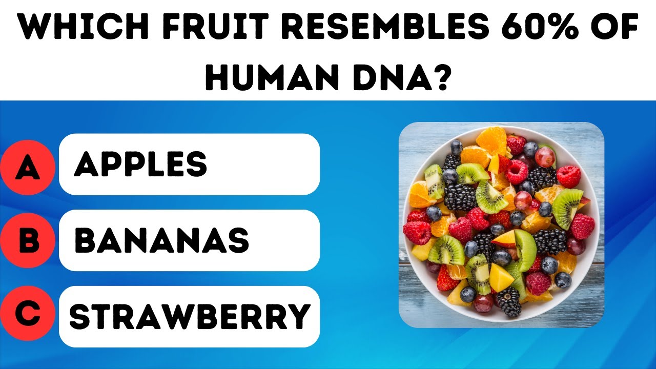 Test Your Knowledge With These 40 General Knowledge Questions | Trivia ...