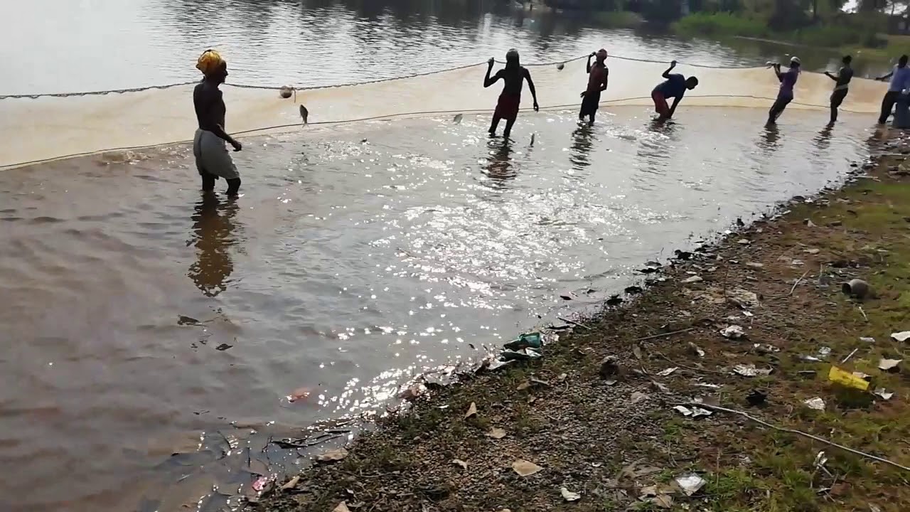 Fish....... Dap....( ମାଛ ଧରିବା ପ୍ରଣାଳୀ ) - YouTube