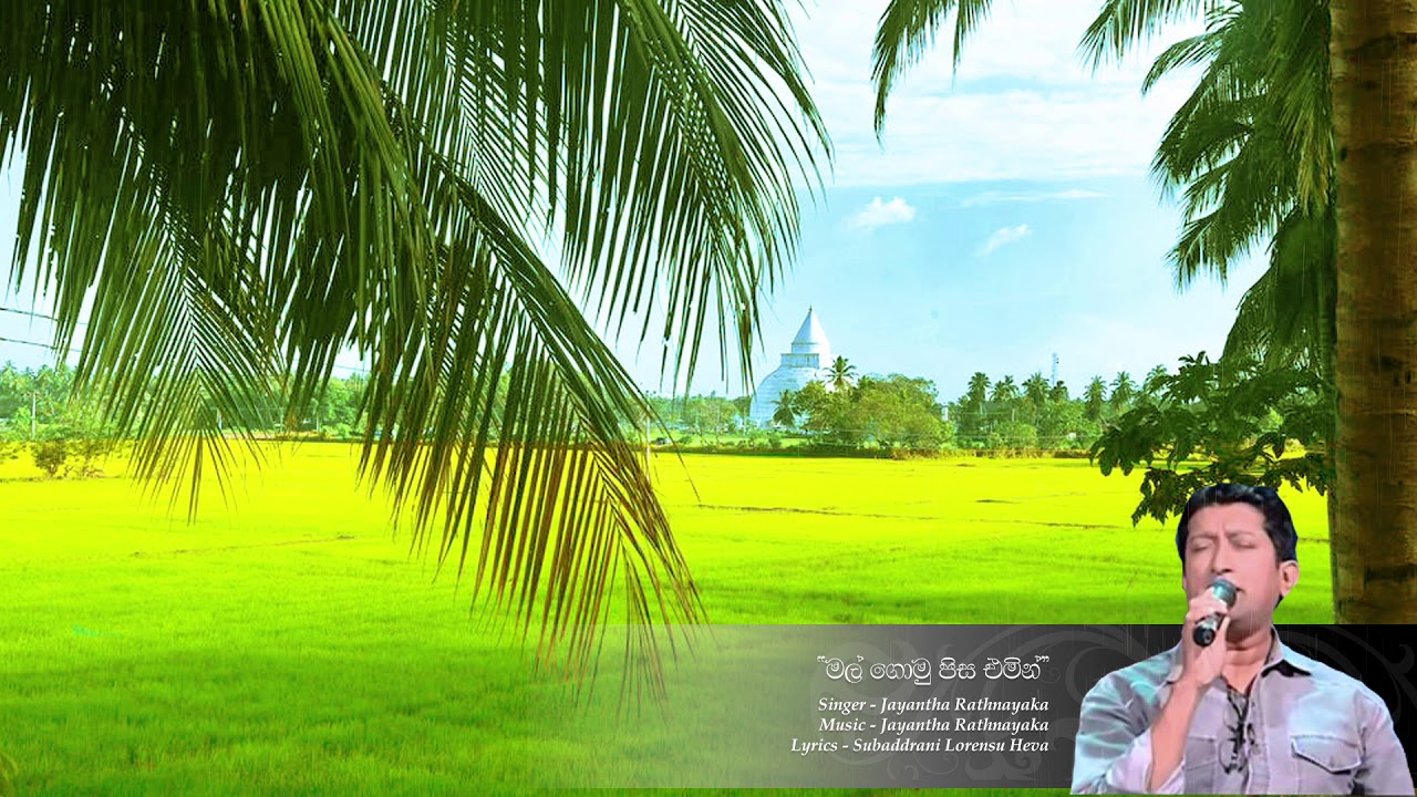 Mal gomu pisa emin - Jayantha Rathnayaka - YouTube