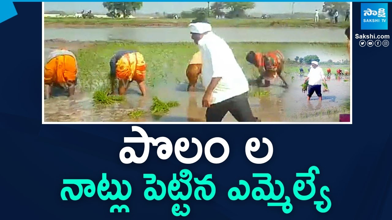 Thungathurthi MLA Mandula Samel Working In Paddy Fields | Garam Garam ...