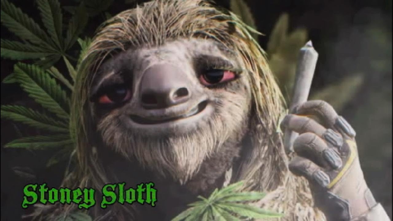 Call Of Duty Warzone - Stoney Sloth - YouTube