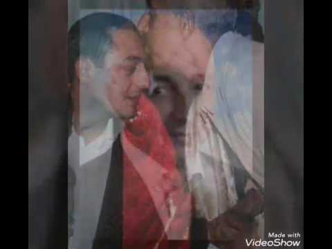 SEMED BULBULE-ATA SEİRİ