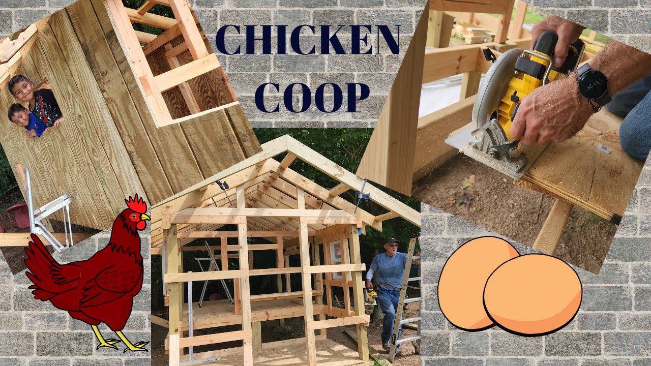 Continuation Of Our Chicken Coop Build Flooring Siding And Roof DulcÉ Lilianas Farm Youtube