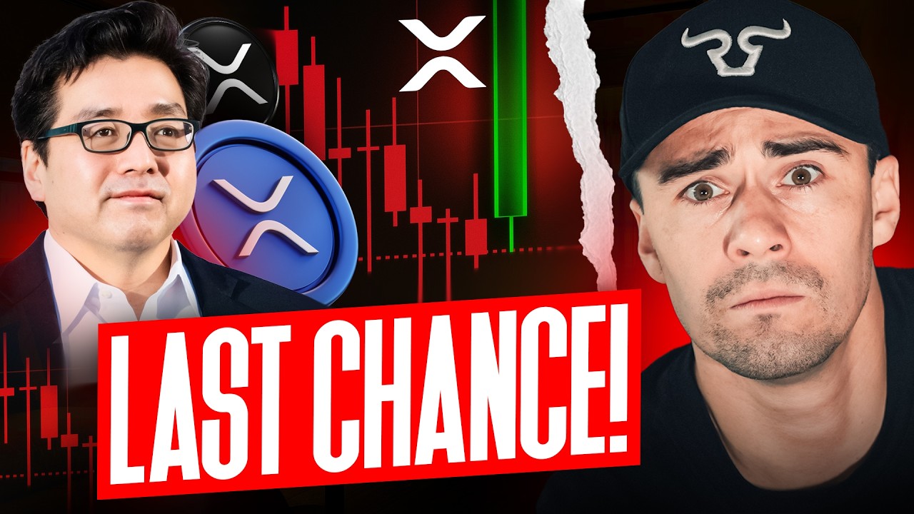 FINAL DIP CONFIRMED? Ripple XRP Ready to Explode As Crypto Bottoms Out ...