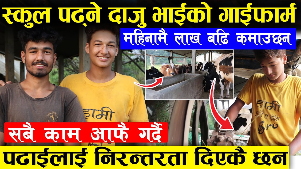 विदेश जाने नेपालीले हेर्नुहोस् स्कुले दाजुभाईको कमाल , पढाई सँगै ...