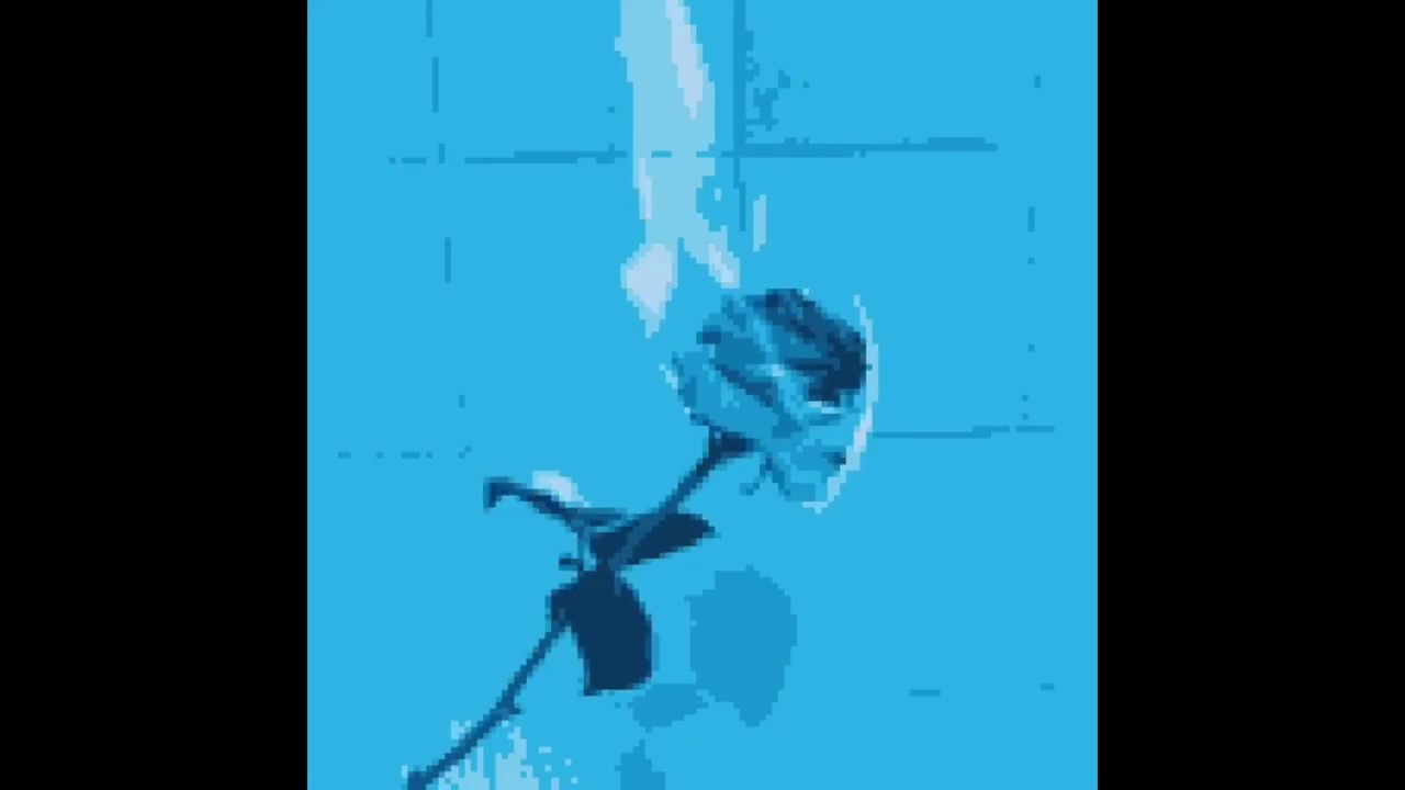 Cool blue flaming rose art on colour by number - YouTube
