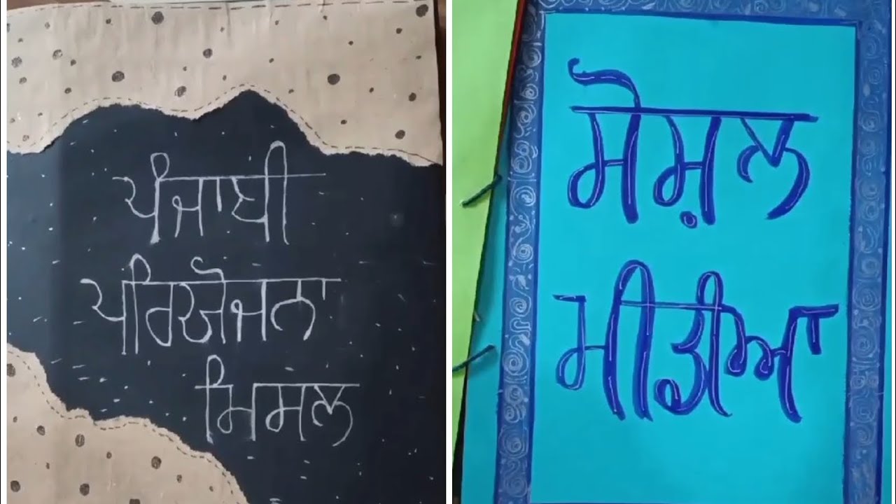 SOCIAL MEDIA Punjabi project file For class 9,10,11,12 , #craft # ...