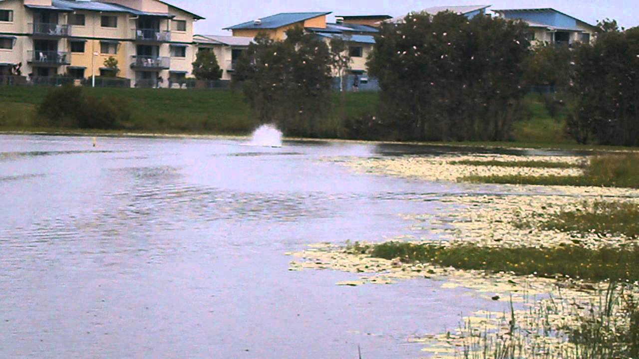 Winston Eagle Canard Hydroplane. - YouTube