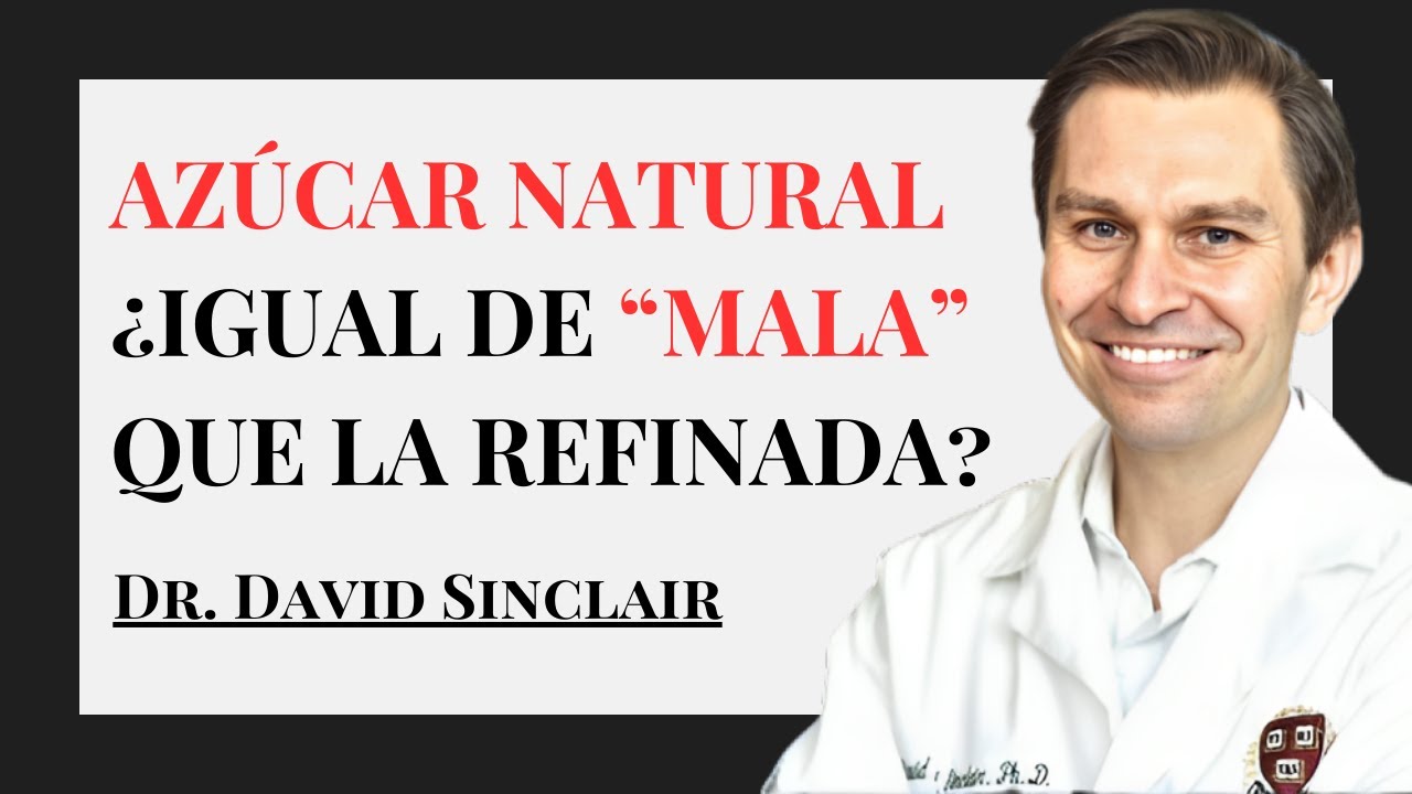 Nunca Comerás Fruta Igual Después De Ver Esto | Dr. David Sinclair ...