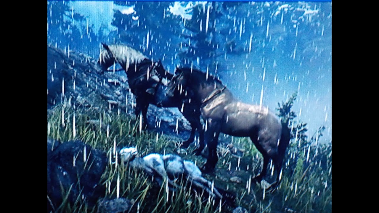Red Dead Redemption 2 Arthur With John's Horse Old Boy The Legendary ...