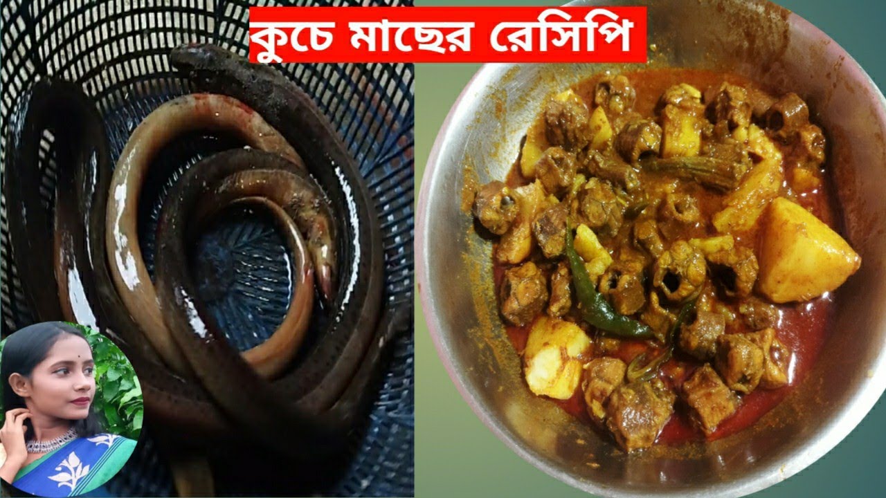 High Blood Increase kuche Fish Recipe।কুচে মাছের সুস্বাদু স্বাস্থ্যকর ...