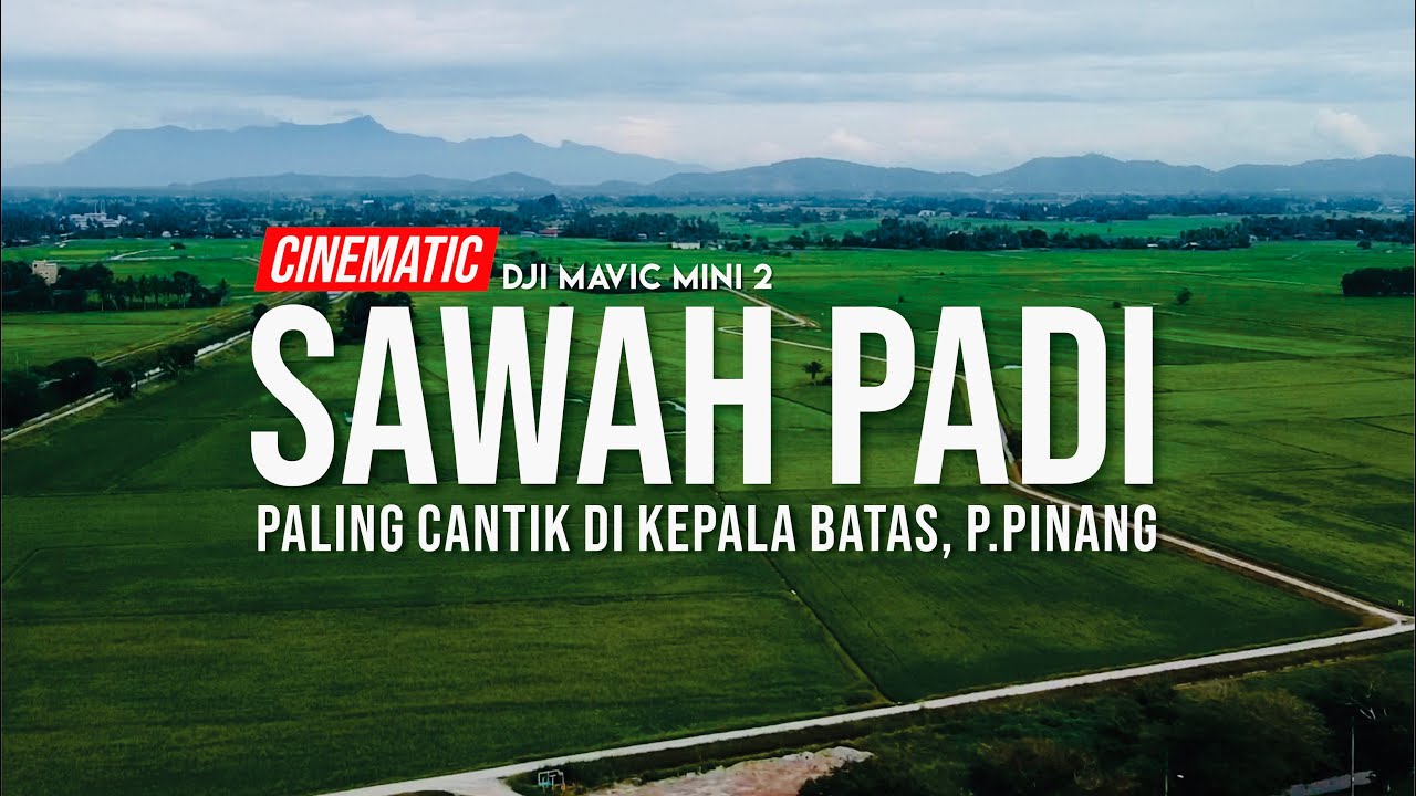 Sawah Padi Paling Cantik di Kepala Batas, Penang | CINEMATIC 4K DJI ...
