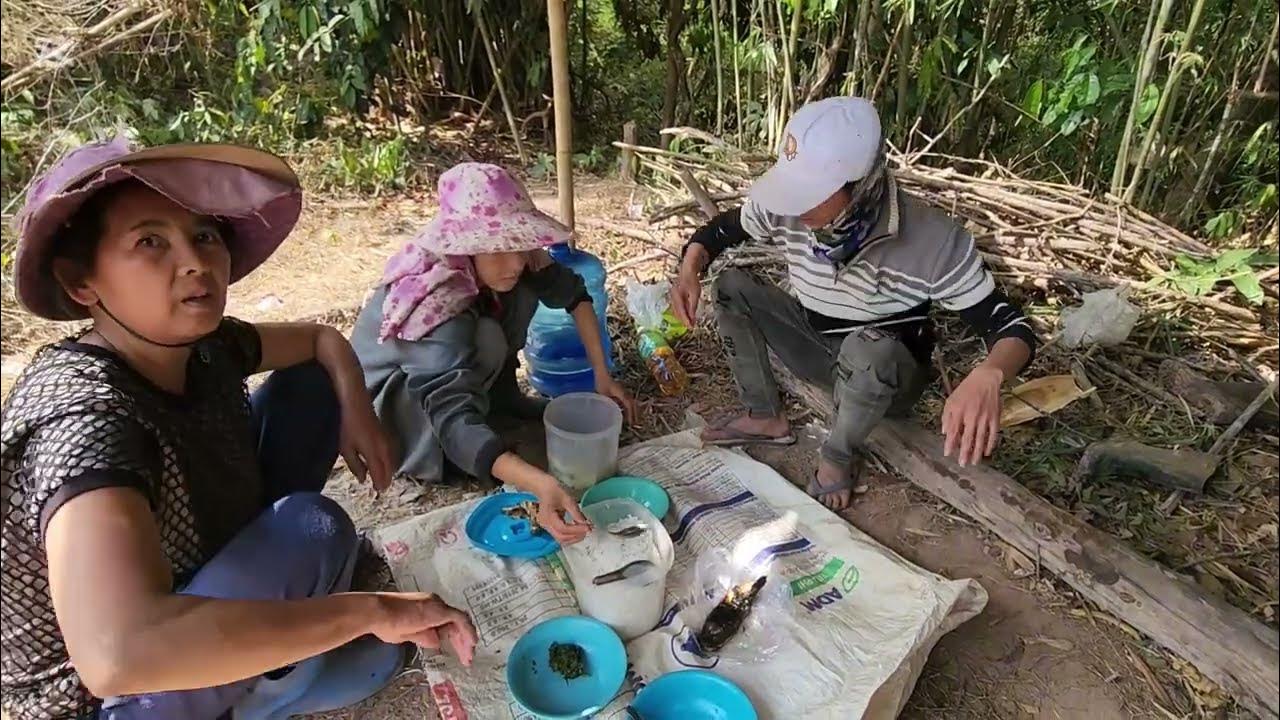 Xeem mu pab niam tais ntsuav qos ntoo tsam xeem thiab maiv yuav mu tsev - YouTube