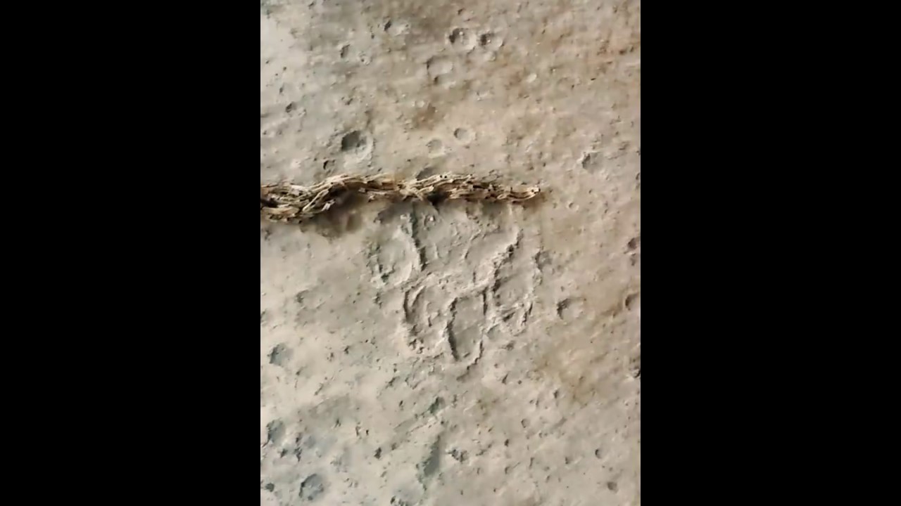 Fear factor: sticky lego worms - YouTube