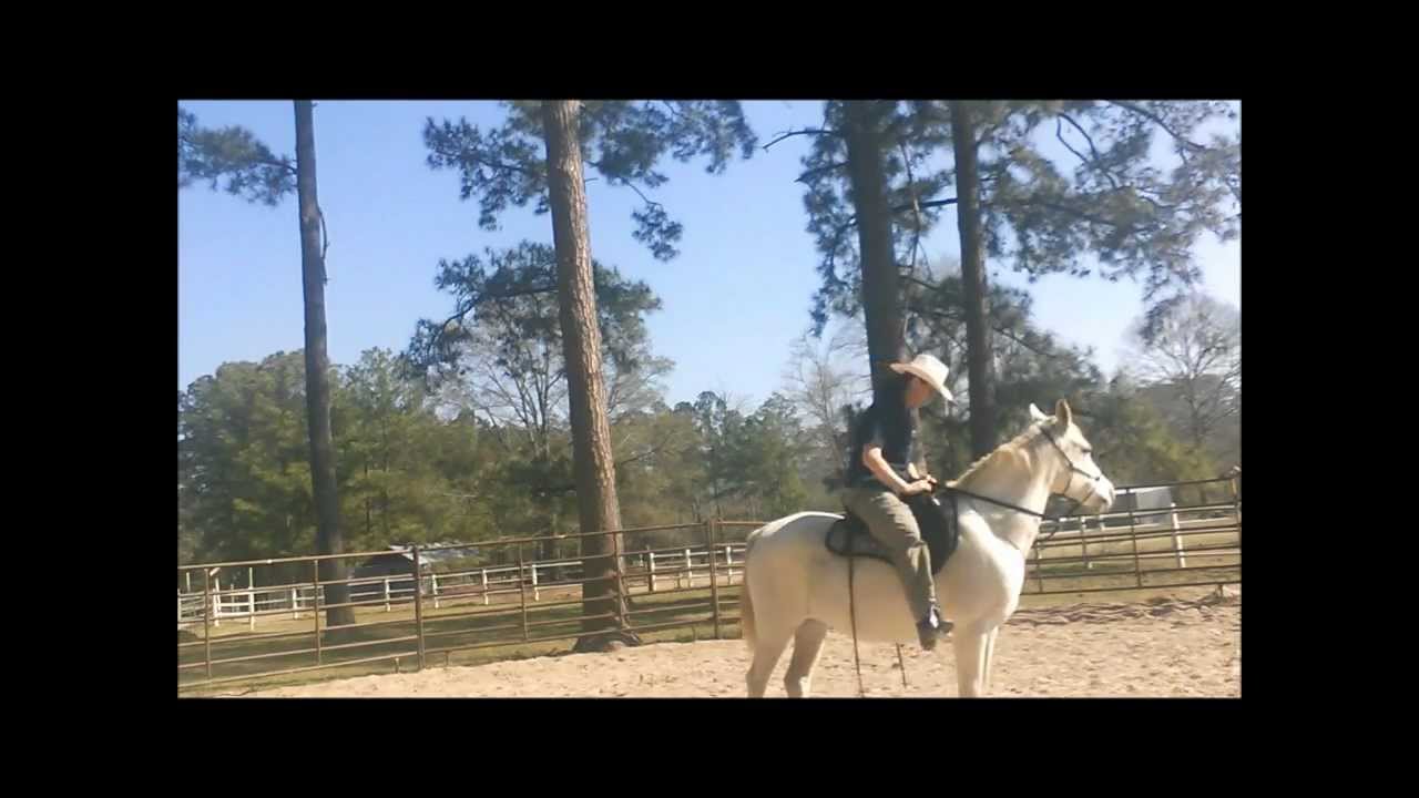 Angel - Riding Session 6 - YouTube