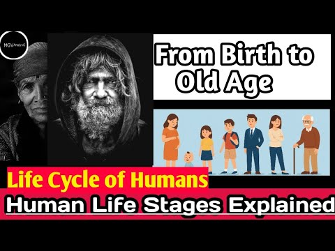 Human Life Stages Explained | From Birth to Old Age | Life Cycle of ...