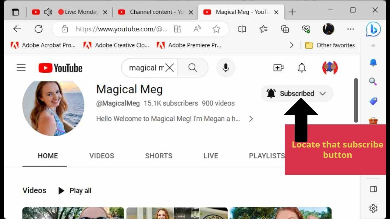 I Subscribed Tonight to Magical Meg Esp. for Theme Park News & Updates ...