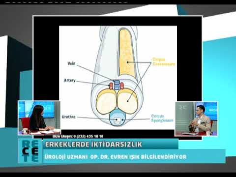 Erken boşalma problemi nedir ? | Op. Dr. Evren Işık