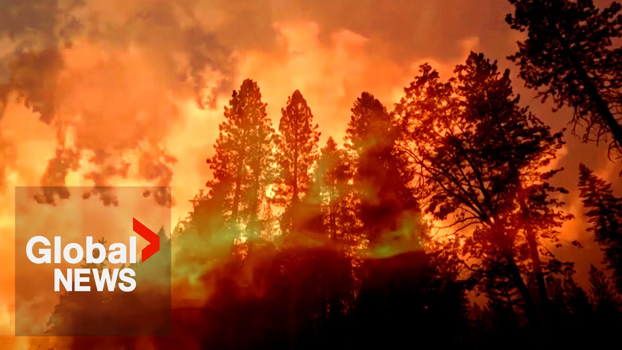 California wildfires: Nixon Fire prompts evacuations, Park Fire grows ...