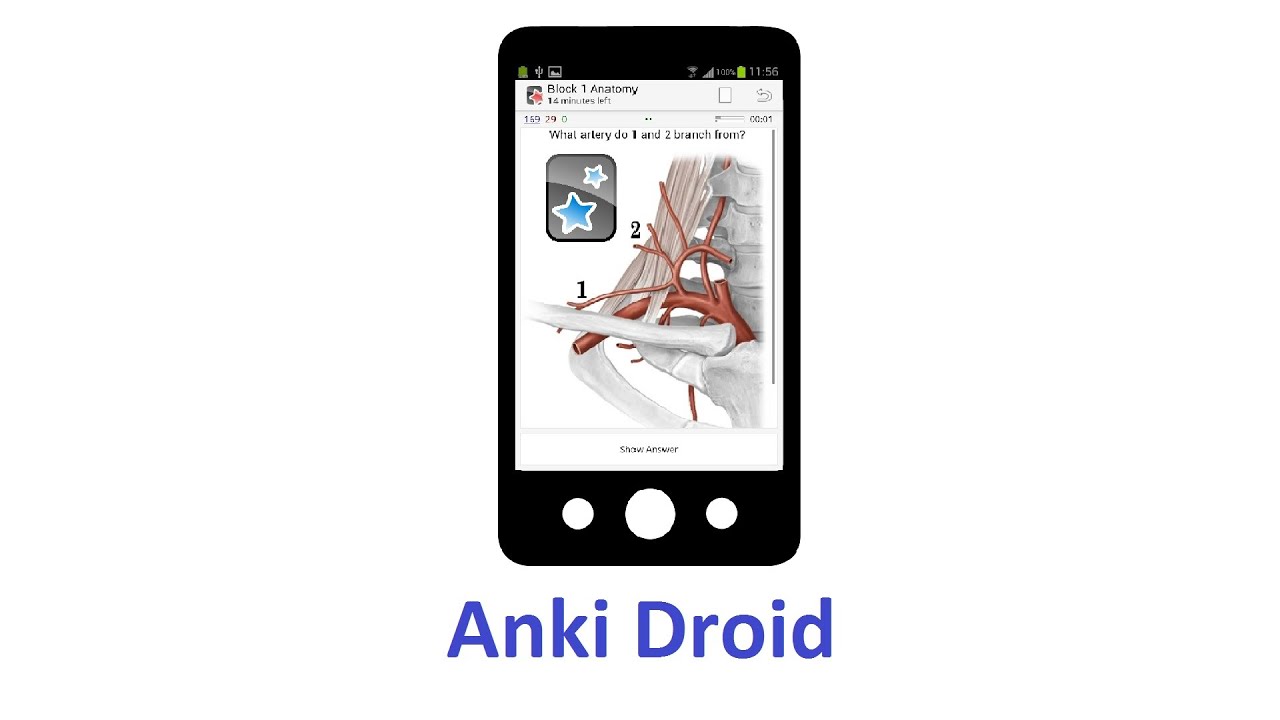 Como estudar usando o AnkiDroid - App de flashcards - YouTube