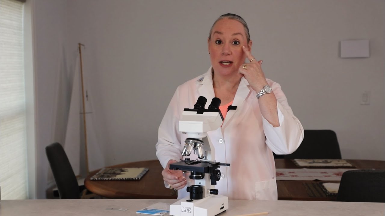 Orientation to a Scientific Microscope - YouTube