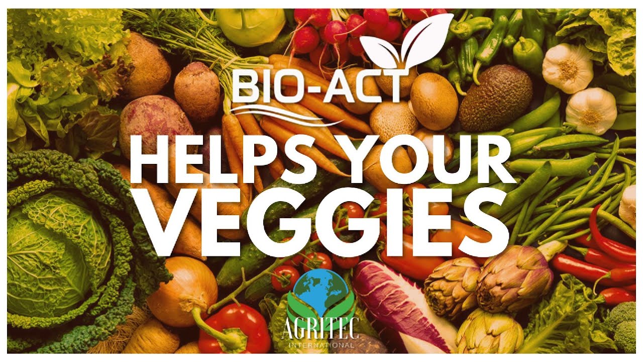 Bio-Act Helps Your Veggies | AgriTec International Liquid Calcium ...