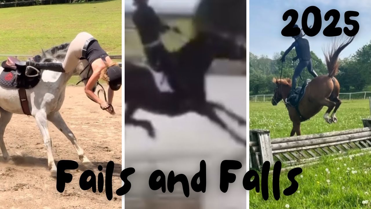 Horse fails and falls | 2025 | Bridled Bloopers - YouTube