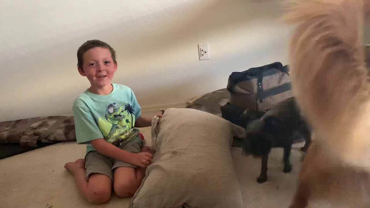 A boy and two dogs - YouTube