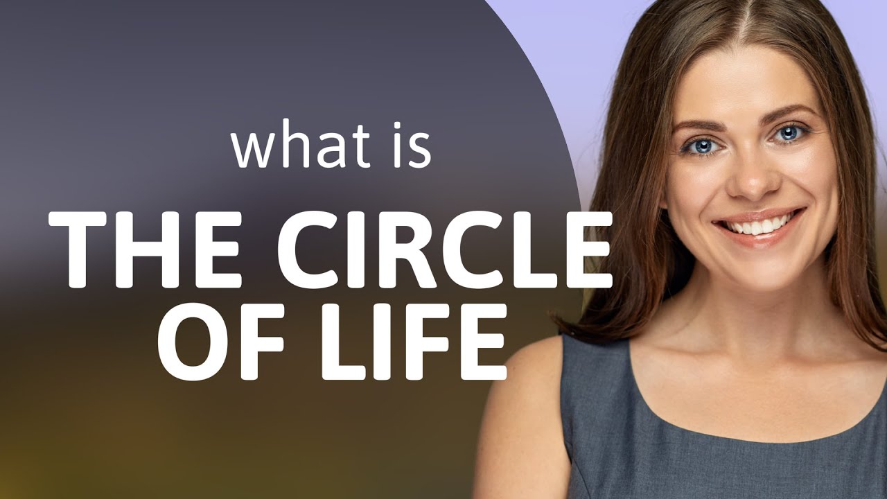 Understanding "The Circle of Life": An English Phrase Explained - YouTube