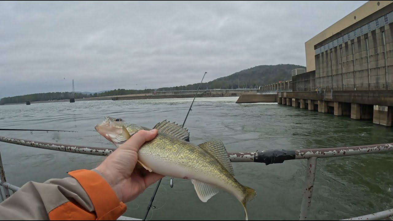 Dam Fishing **Walleye at Last** - YouTube
