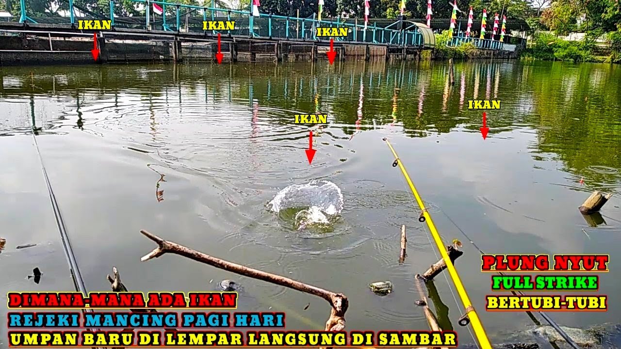 Memancing ikan|| Spot mancing liar begini yg dicari para pemancing ...