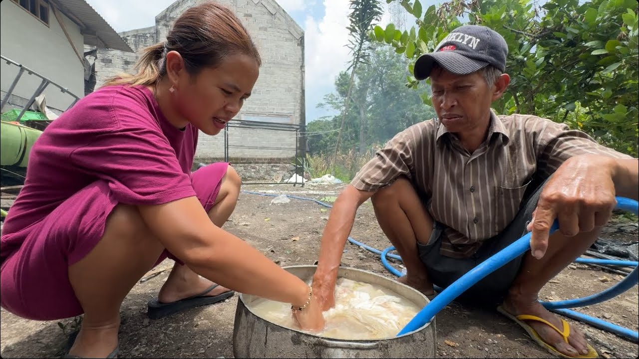 NGUMBAHI BABAT WEDUS UAMBUNE NGABRET TENAN CAH - YouTube