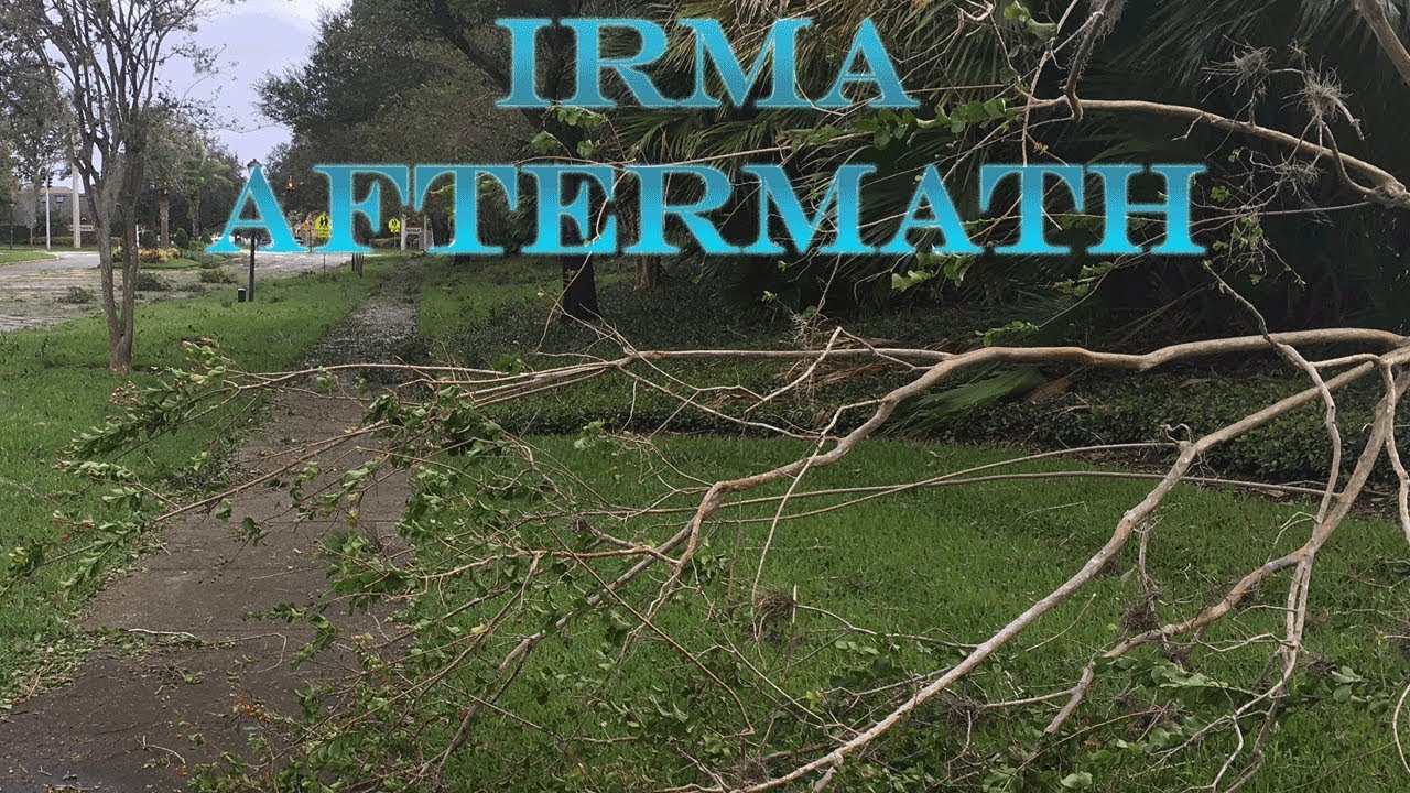 Hurricane Irma Aftermath in Orlando - YouTube