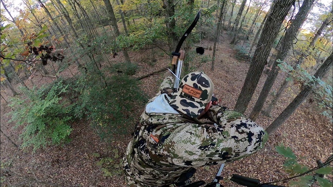 Familiar Ground-Rut Hunt | Traditional Bowhunting - YouTube